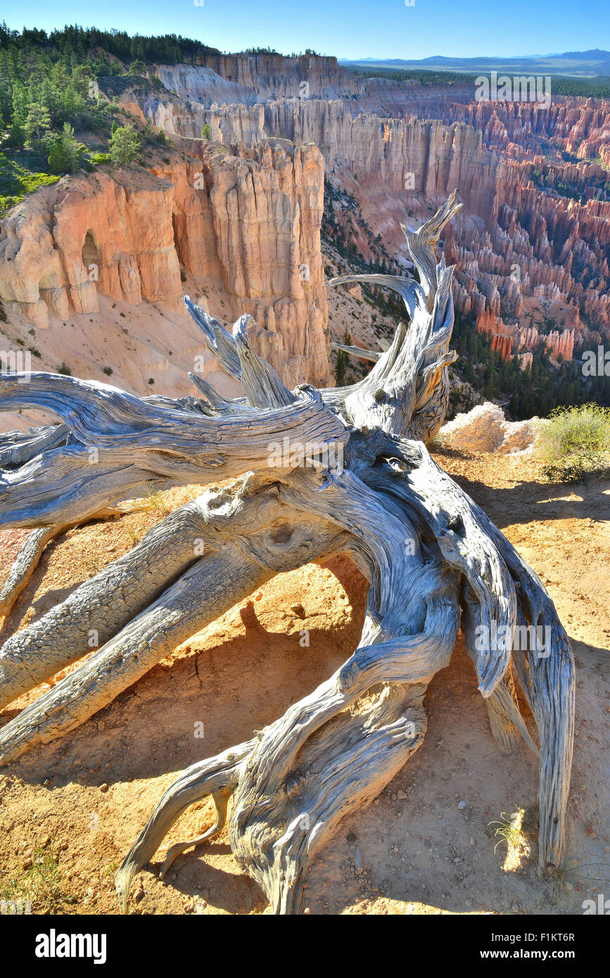 View from Bryce Point in Bryce Canyon National Park in Southwestern ...