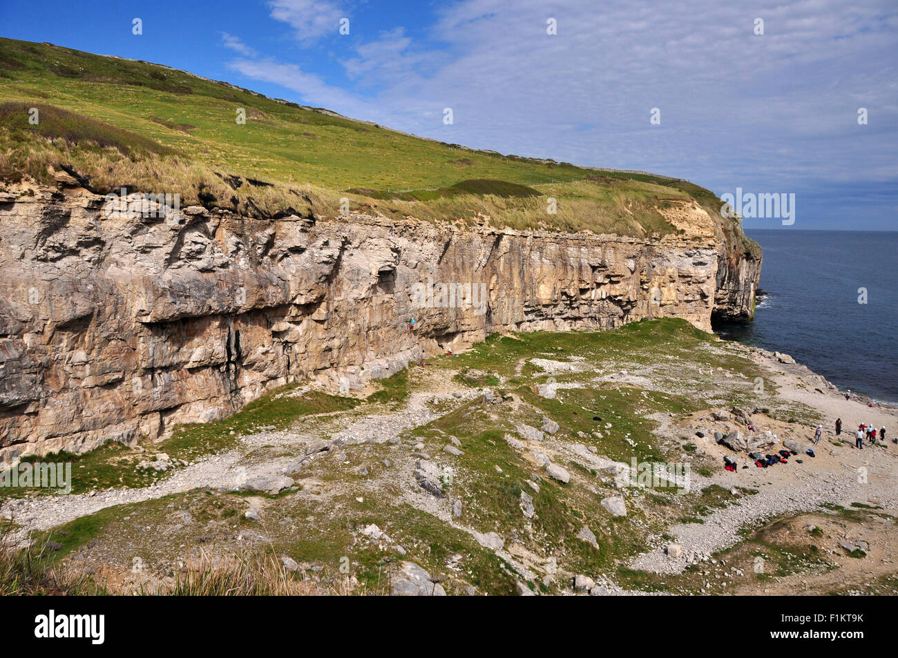 Dancing ledge dorset hi-res stock photography and images - Alamy