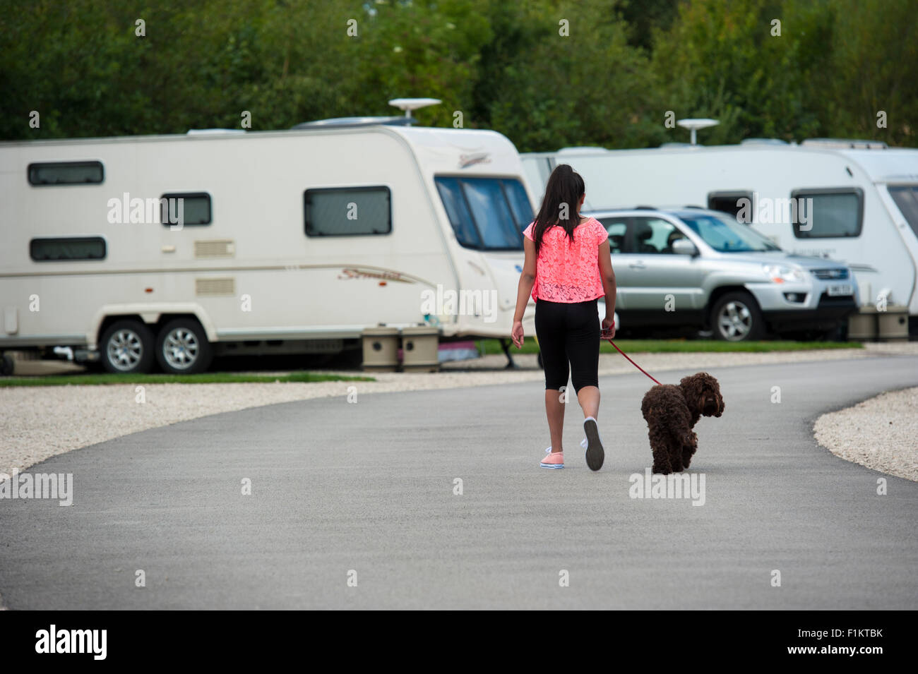 Girl walking pet cockapoo in a caravan park, UK Stock Photo - Alamy