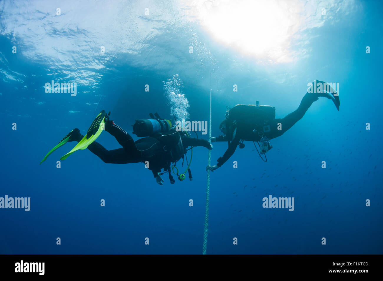 Group diving scuba group all fun hi-res stock photography and images ...
