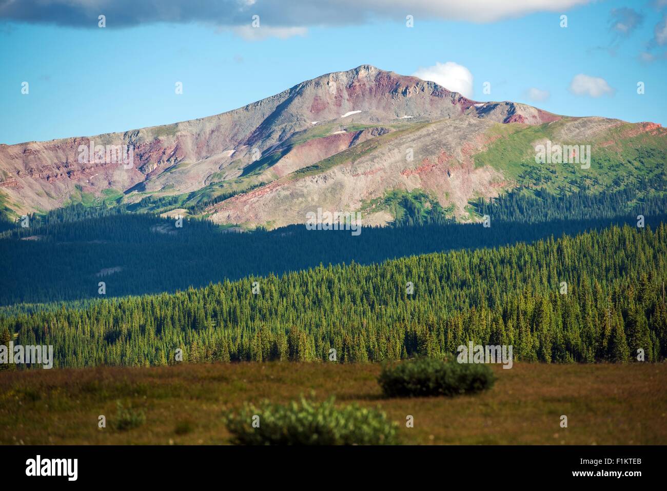 Colorado Summer Landscape