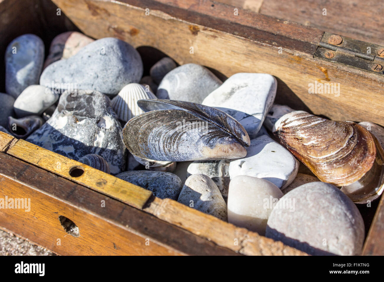 Wooden box with stones, shells in the sand Stock Photo - Alamy