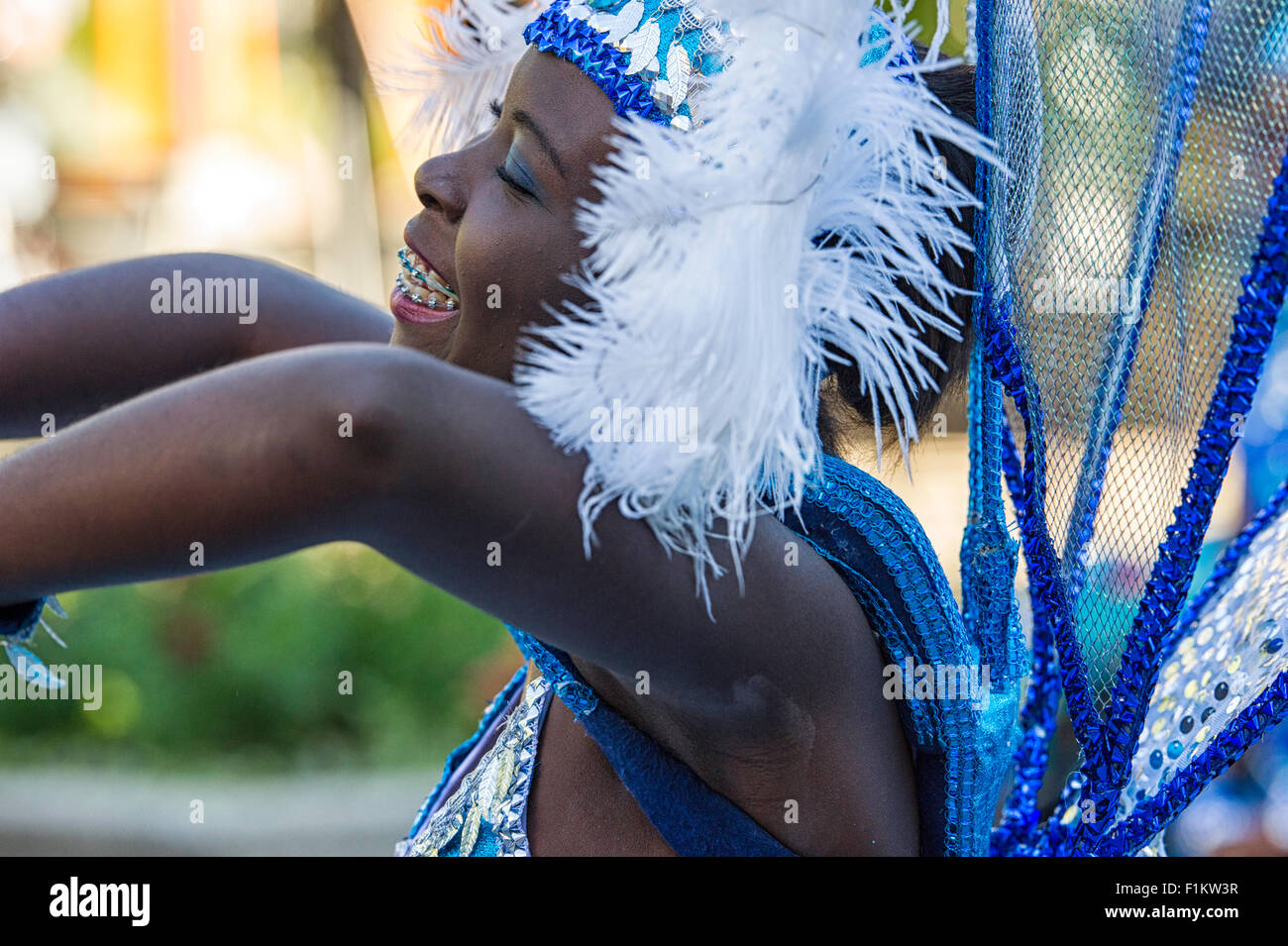Carifest hi-res stock photography and images - Alamy