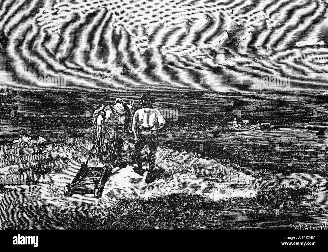 Bog people Black and White Stock Photos & Images - Alamy