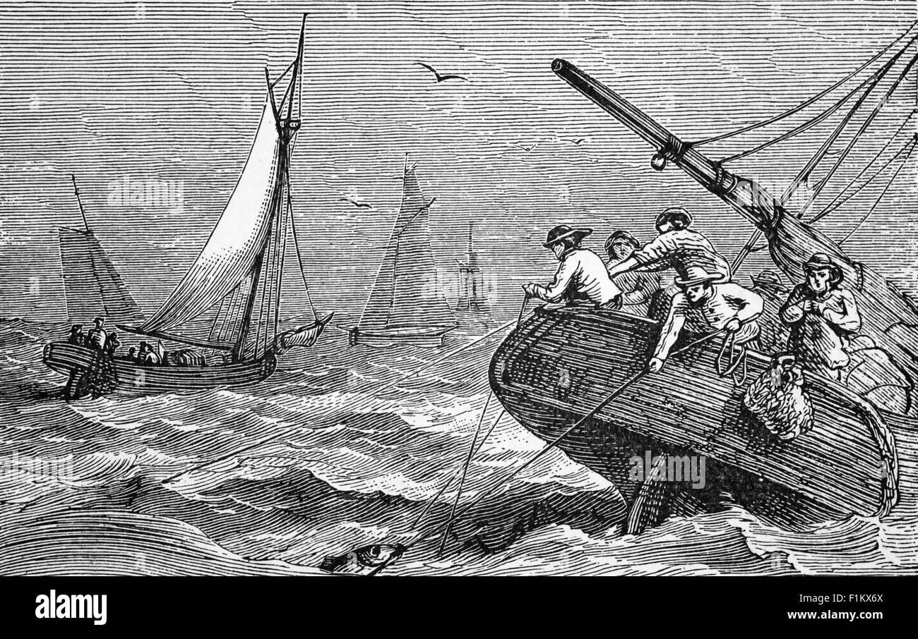 Newfoundland Cod Fishing High Resolution Stock Photography and Images ...