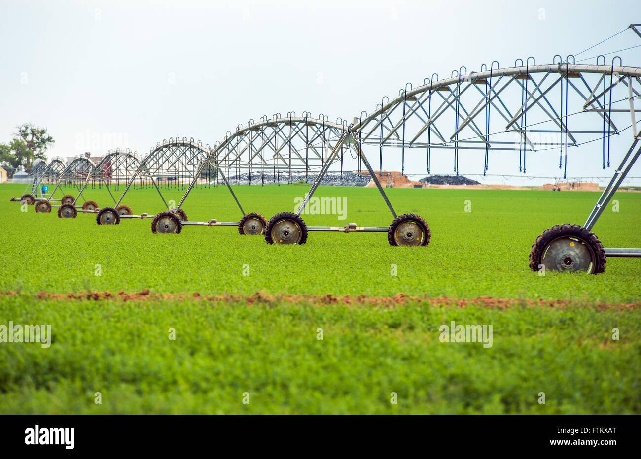 Crop Watering by Center Pivot Sprinklers Agriculture Theme. Crop ...