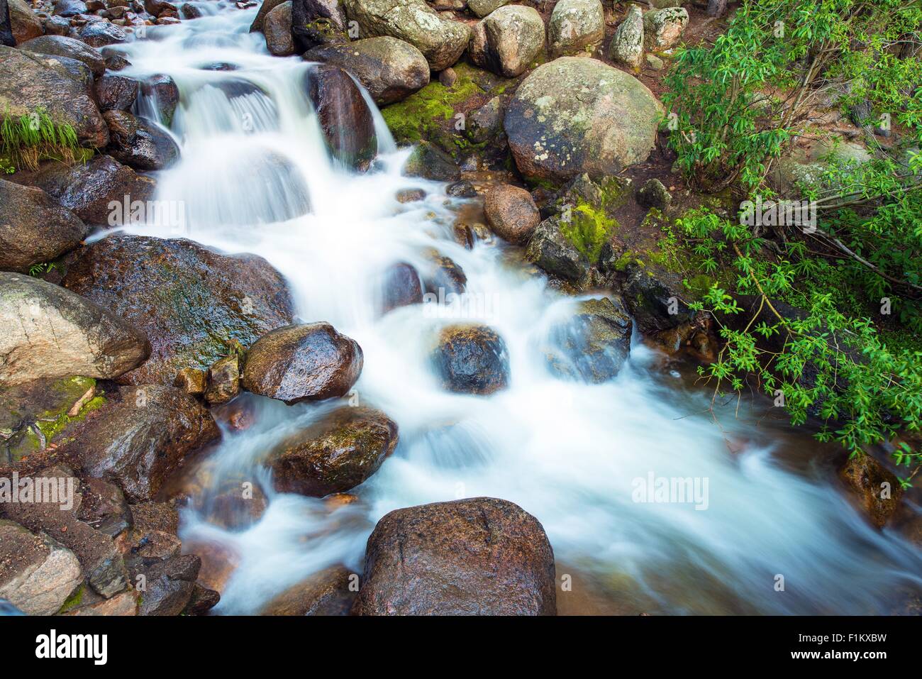 Closeup stream flowing in forest hi-res stock photography and images ...