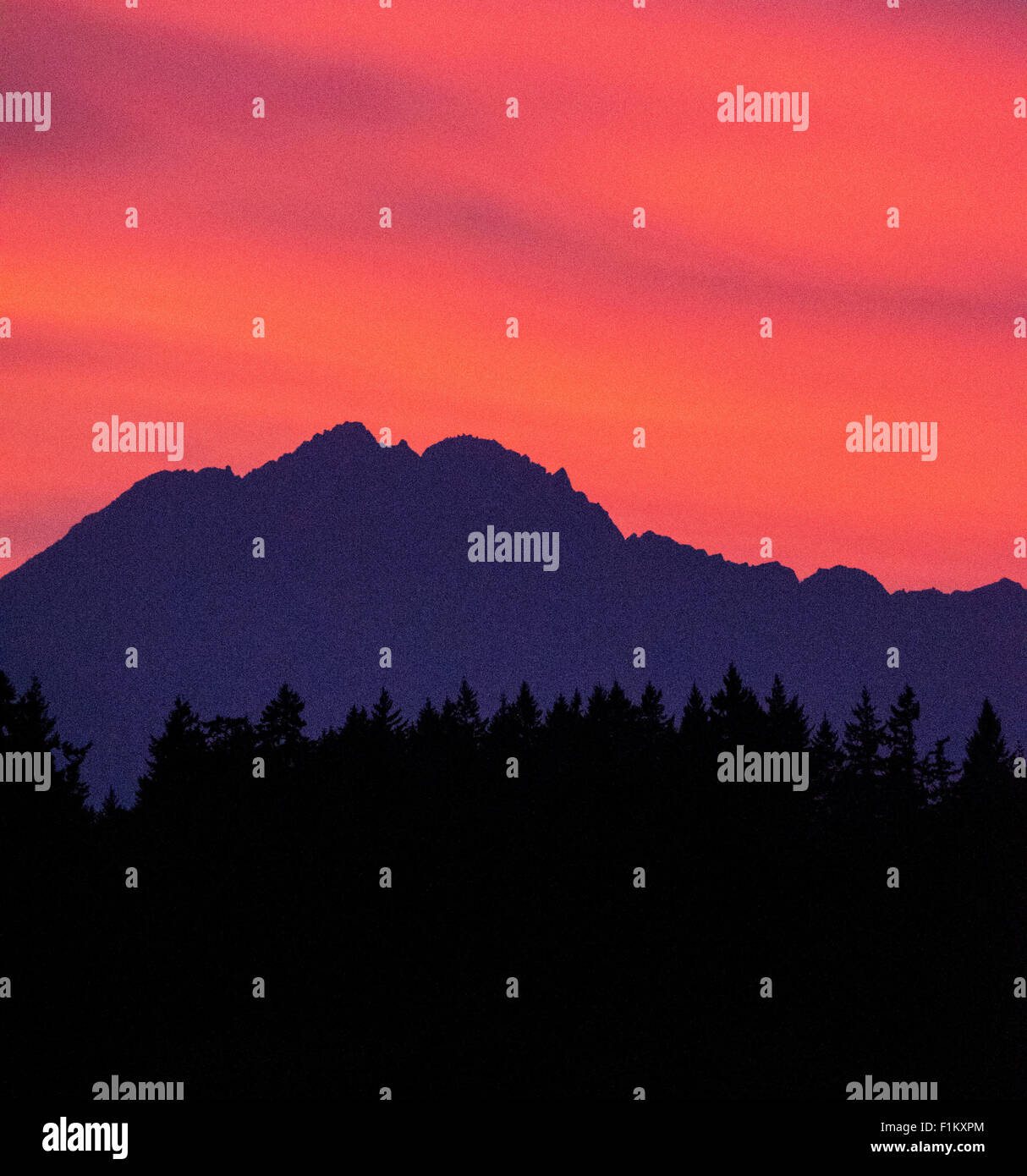 Beautiful sunset over the Olympic Mountains, East Puget Sound. State of ...