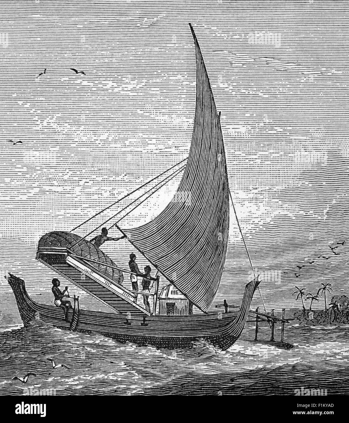 19th Century illustration of a Prau, a fast, sharp-ended rowing or ...