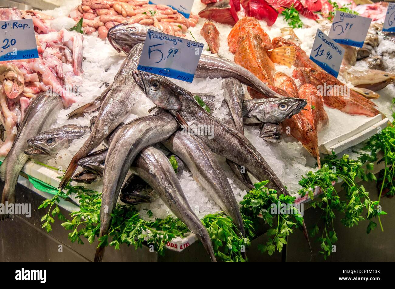 Fresh seafood on display at a market Stock Photo - Alamy