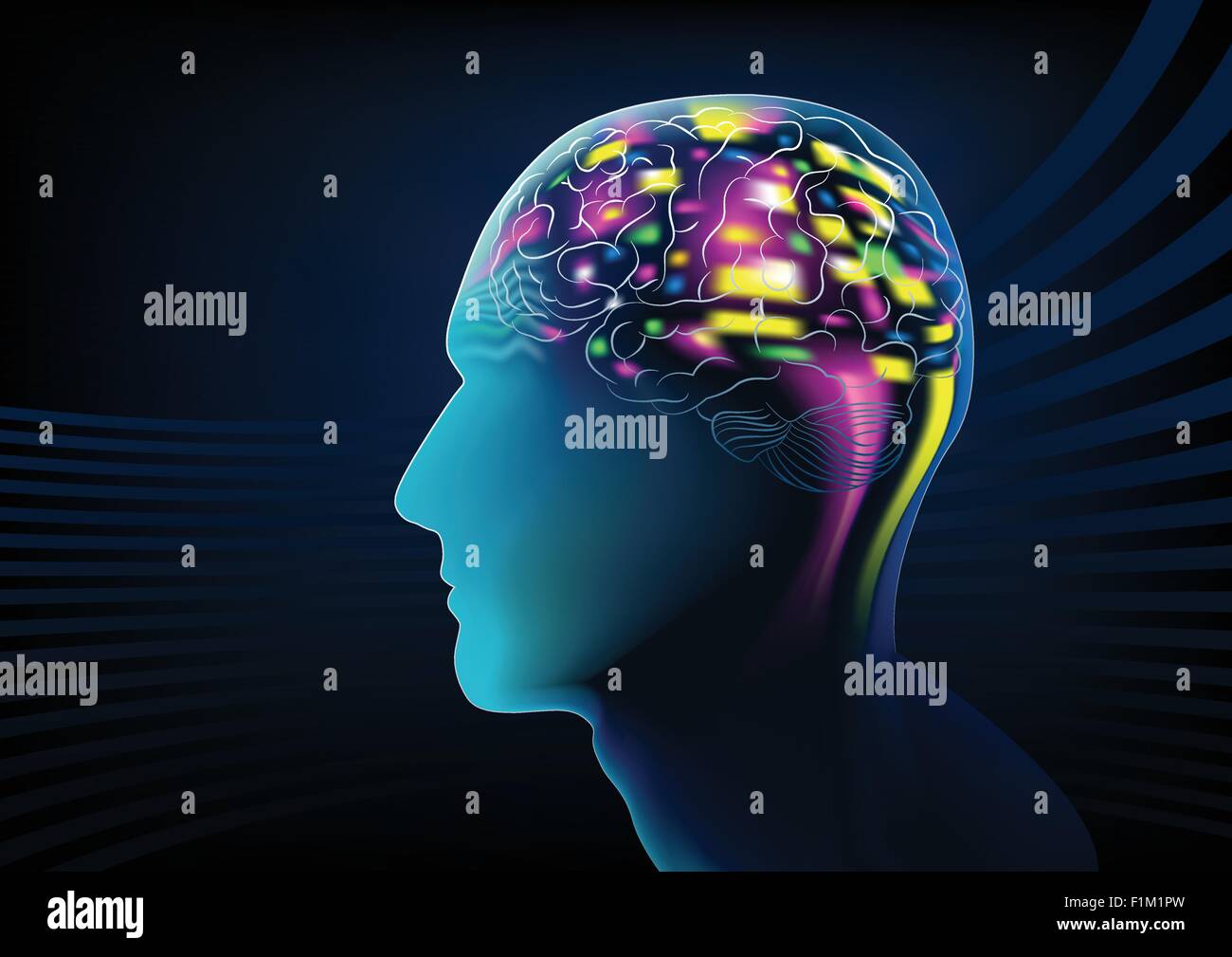 Human head side view Stock Vector Images - Alamy