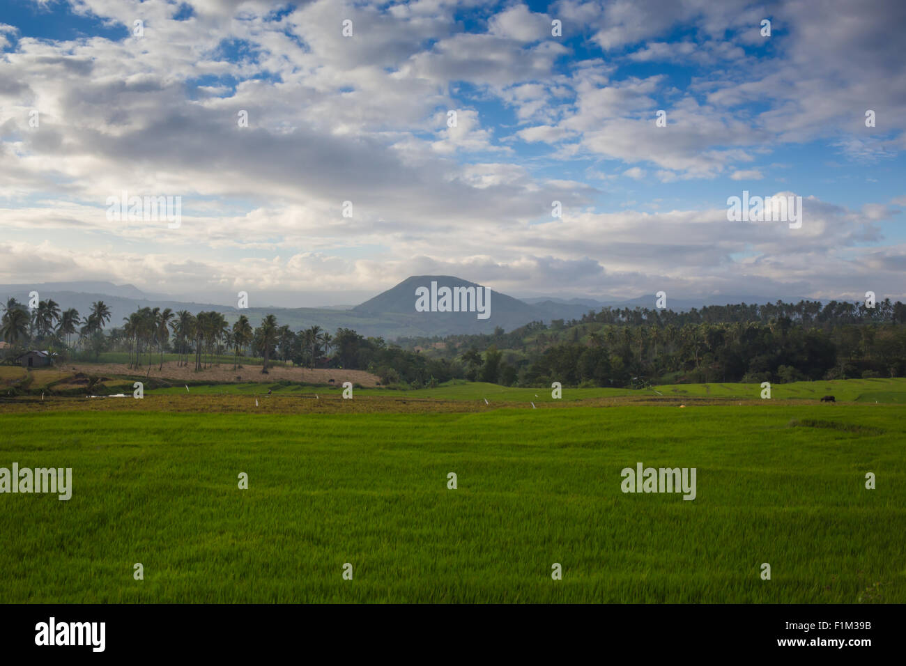 The Classic Cone Shape of Arenal Volcano in Costa Rica Stock Photo - Alamy