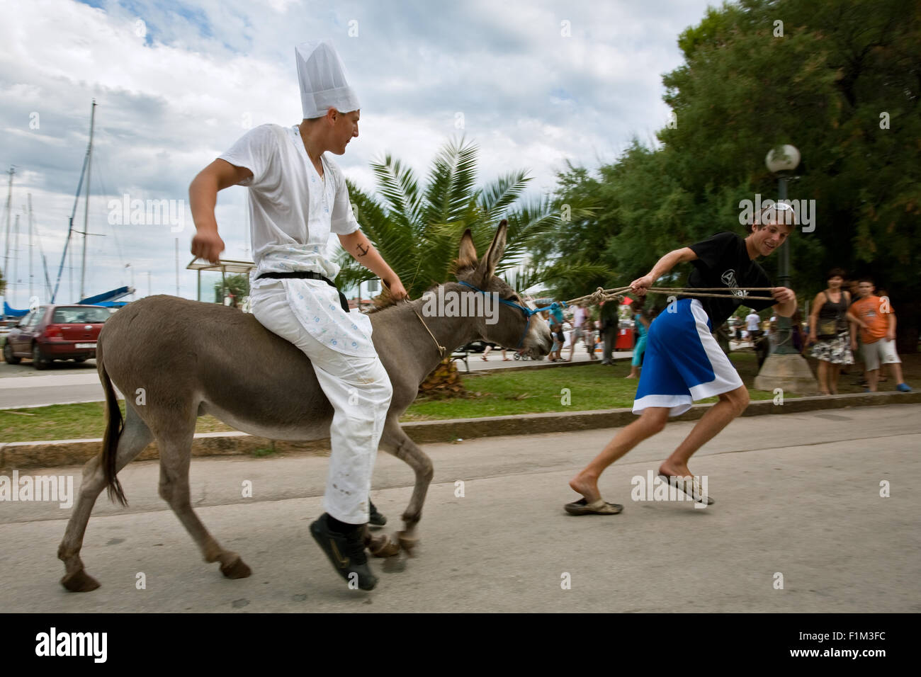Donkey race in Kukljica, island Ugljan, Dalmatia, Croatia Stock Photo ...