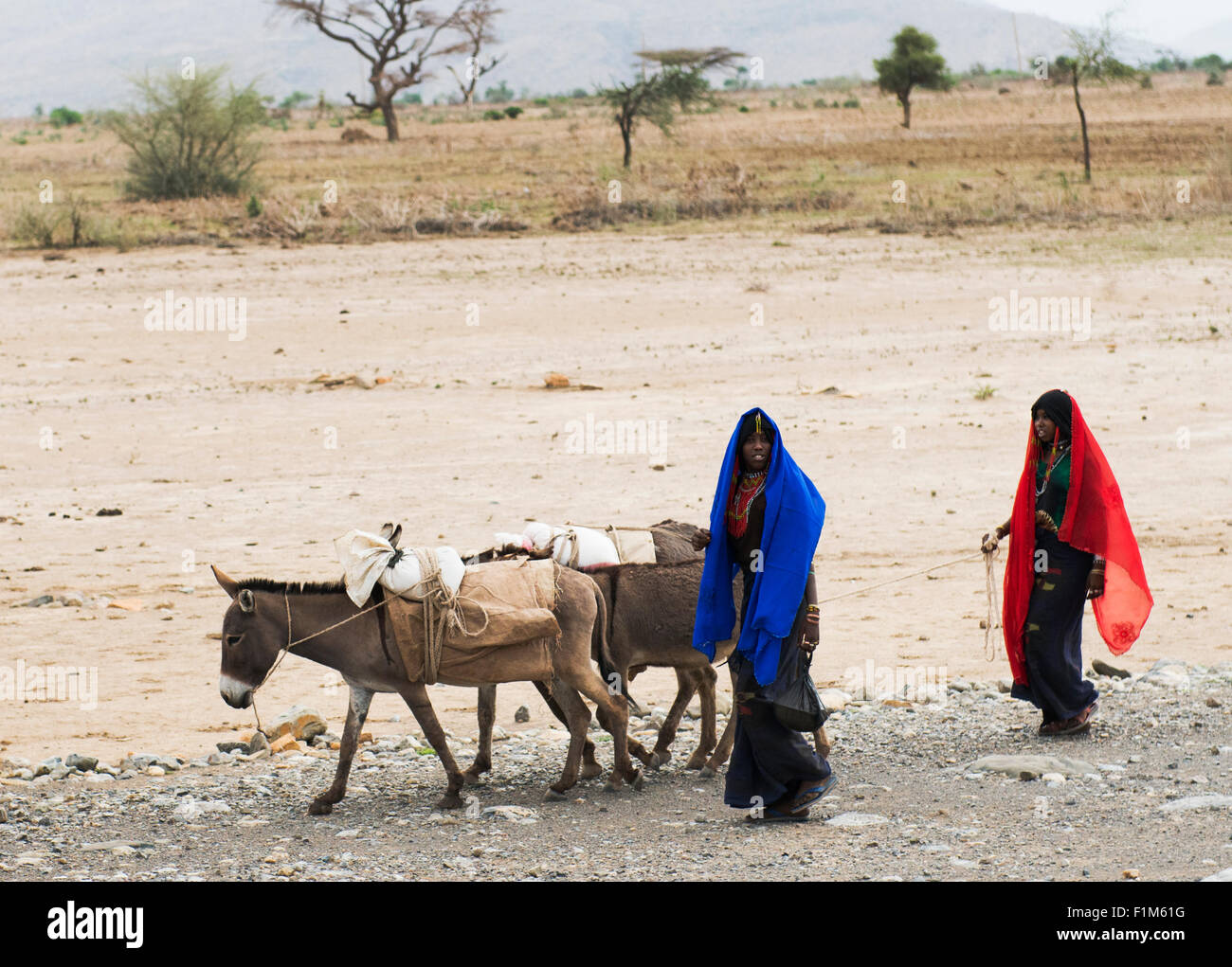 Afar tribe hi-res stock photography and images - Alamy
