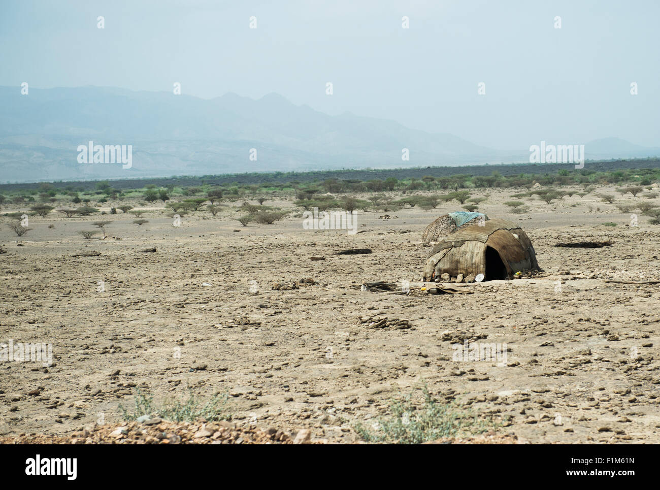 Traditional Afar homes in a small village located in the harsh desert ...