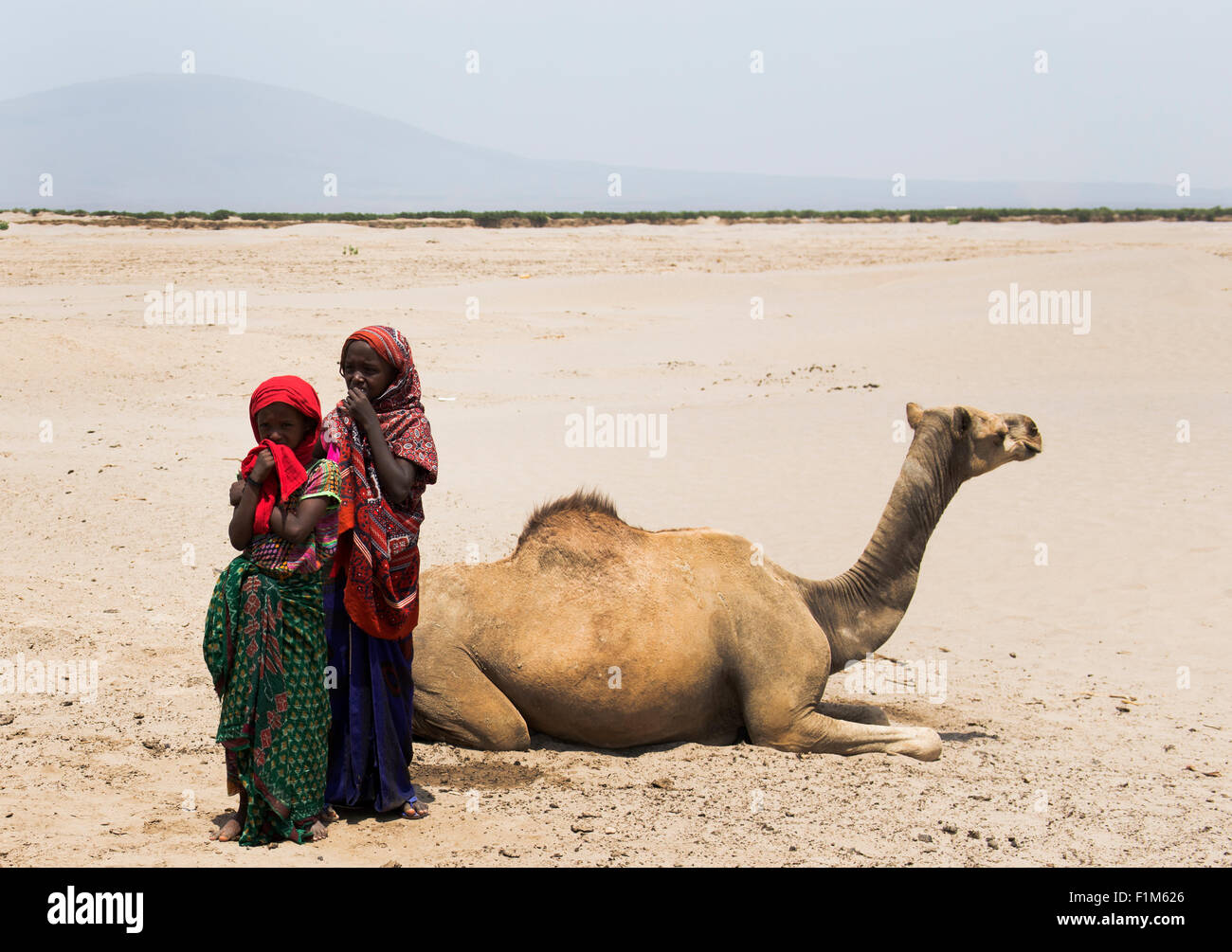 Afar tribe hi-res stock photography and images - Alamy
