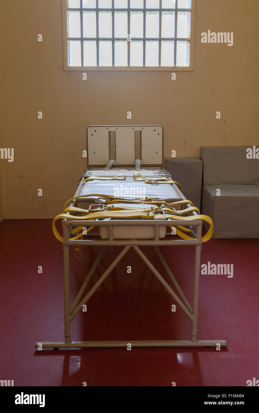 Mental Patient Restraints