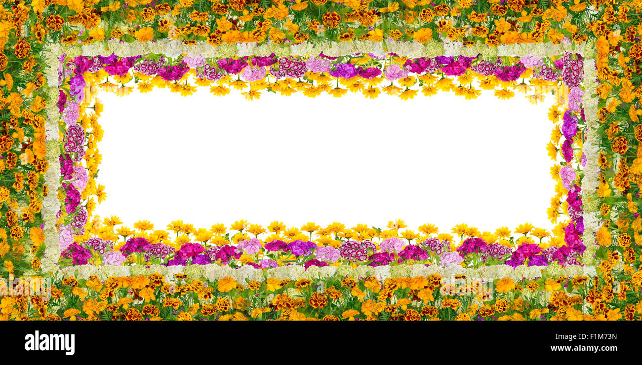 Magnificent blooming plants frame for July birthday. Isolated handmade ...