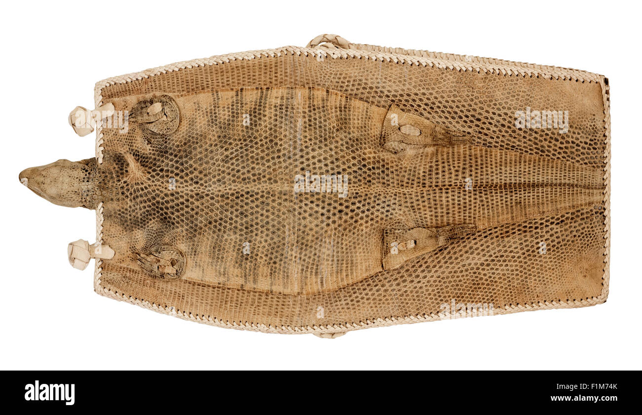 The dried-up lizard leather handmade amulet of the African desert wild ...