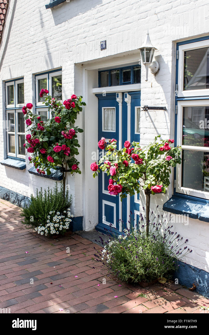 house with rose bushes and lavender Stock Photo - Alamy