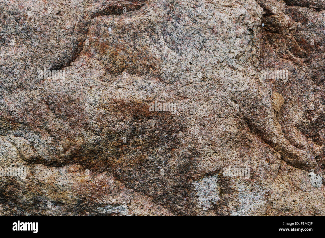Texture of skin of a big old granite stone abstract real background ...