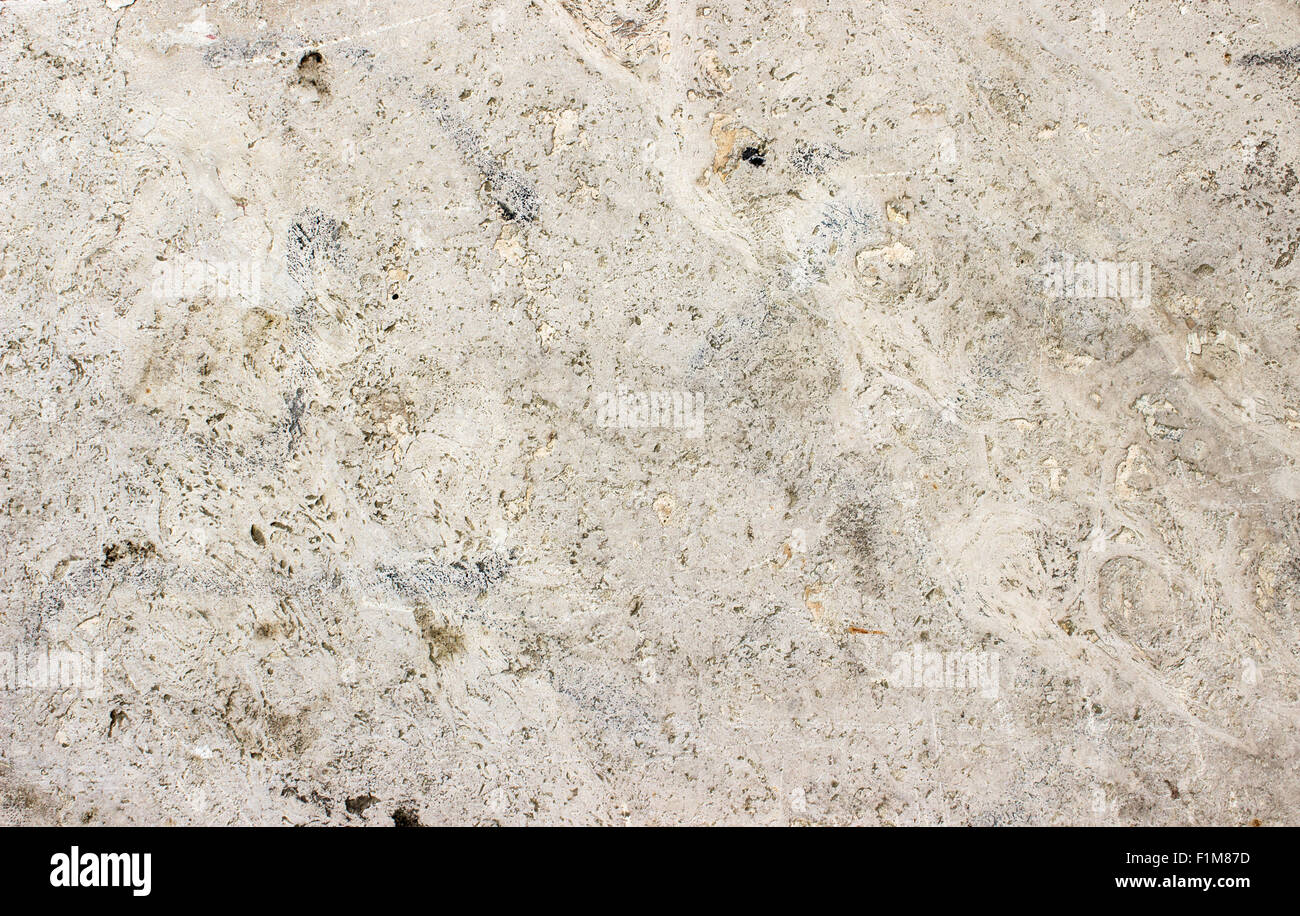 Structure of a stone slab of limestone Stock Photo - Alamy