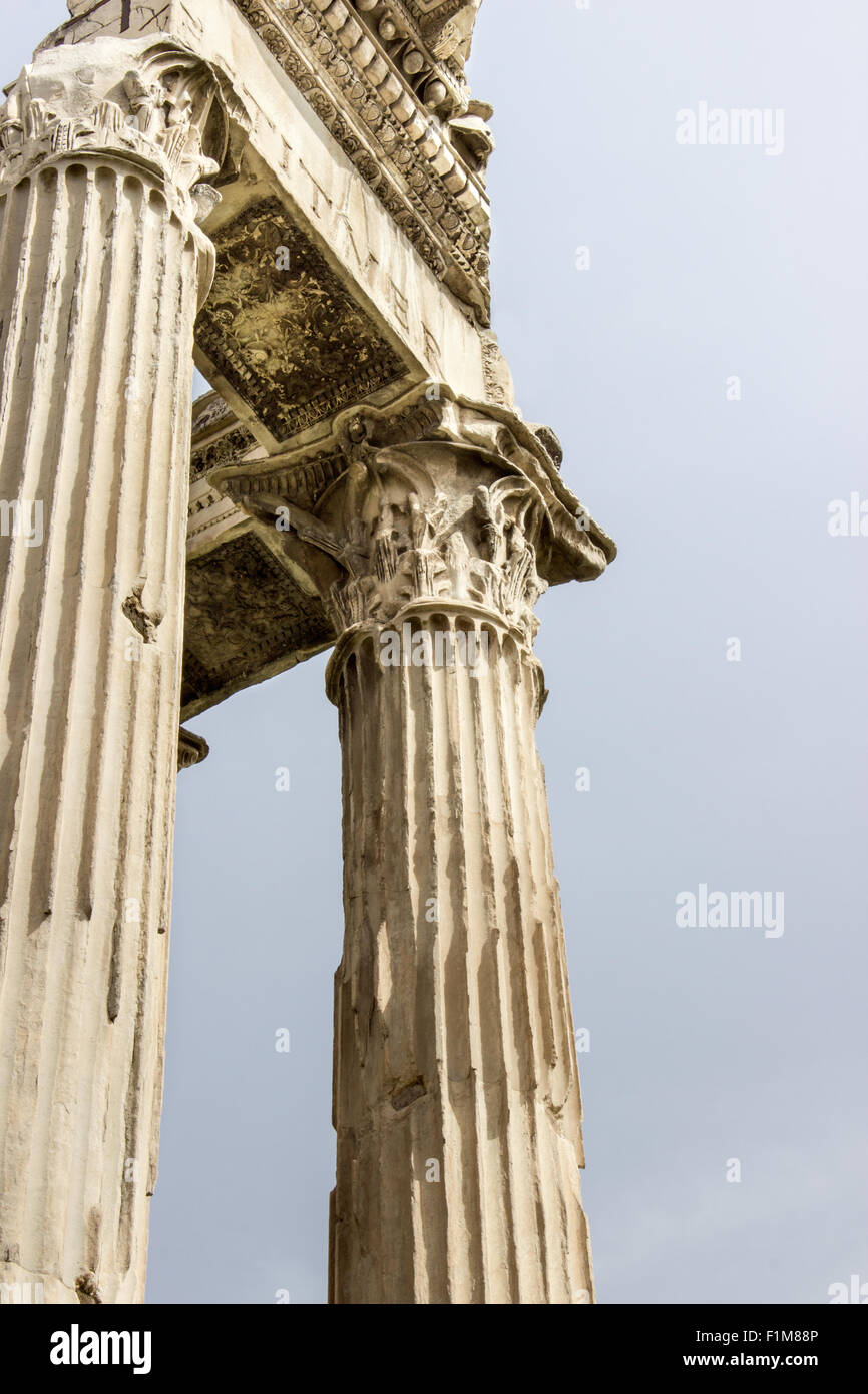 Roman column in the Roman Forum Stock Photo - Alamy