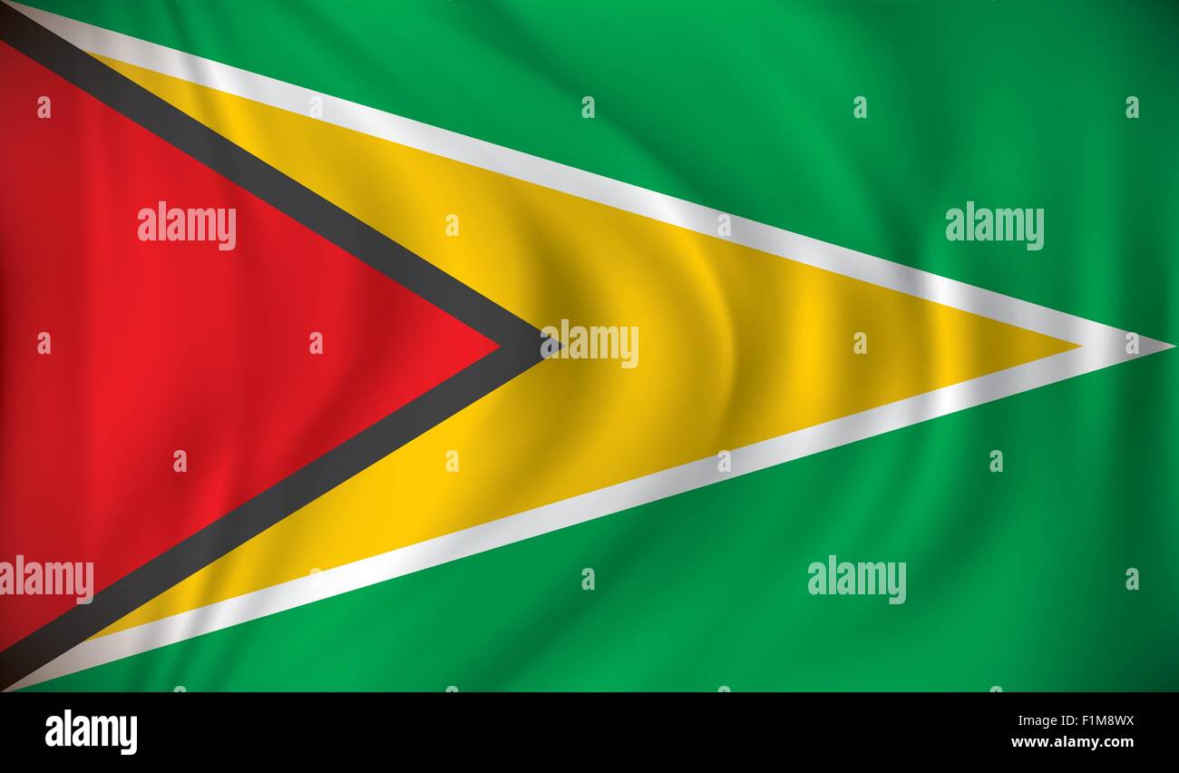 Flag of Guyana - vector illustration Stock Vector Image & Art - Alamy