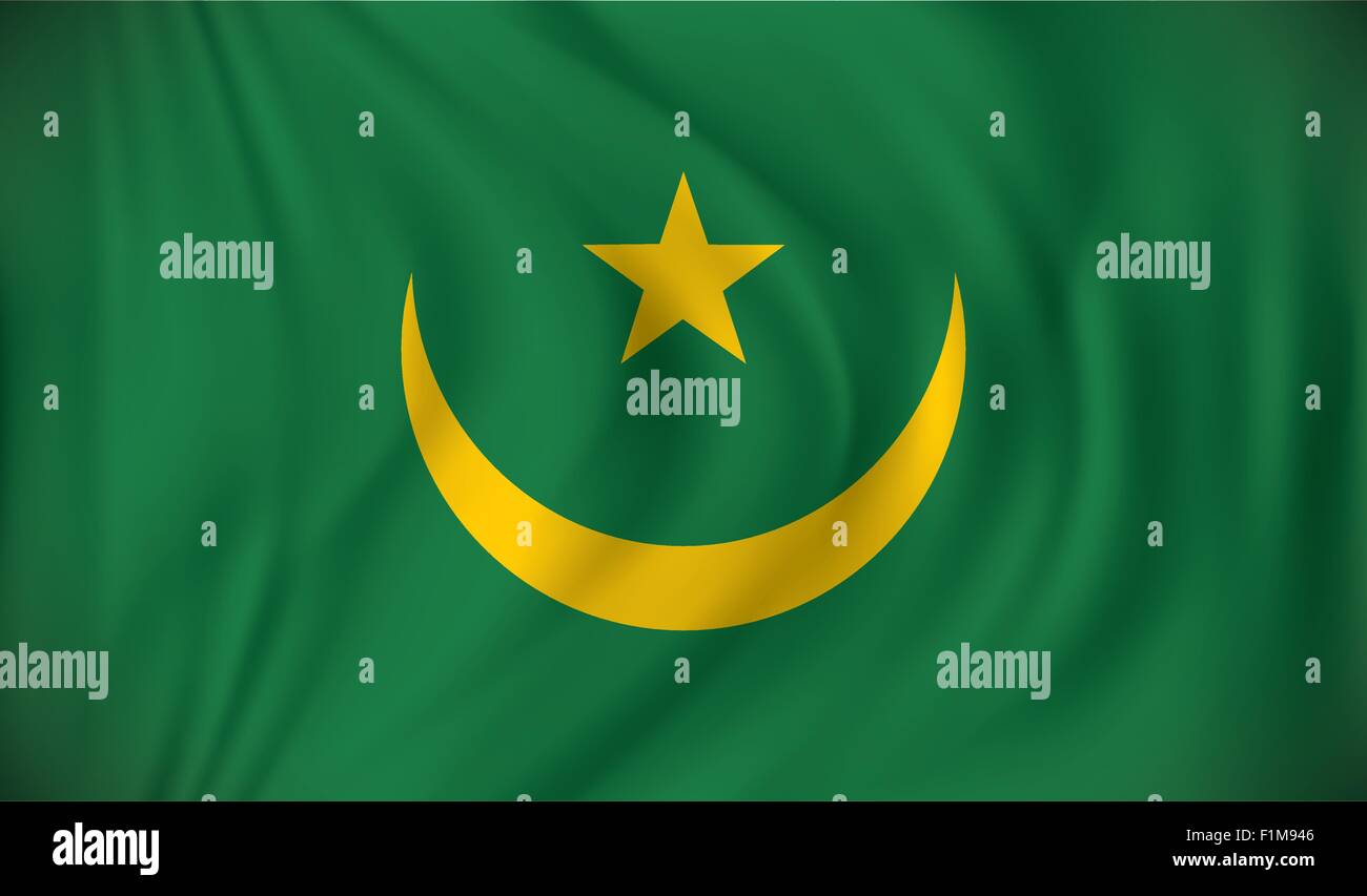 Flag Of Mauritania Vector Illustration Stock Vector Image And Art Alamy