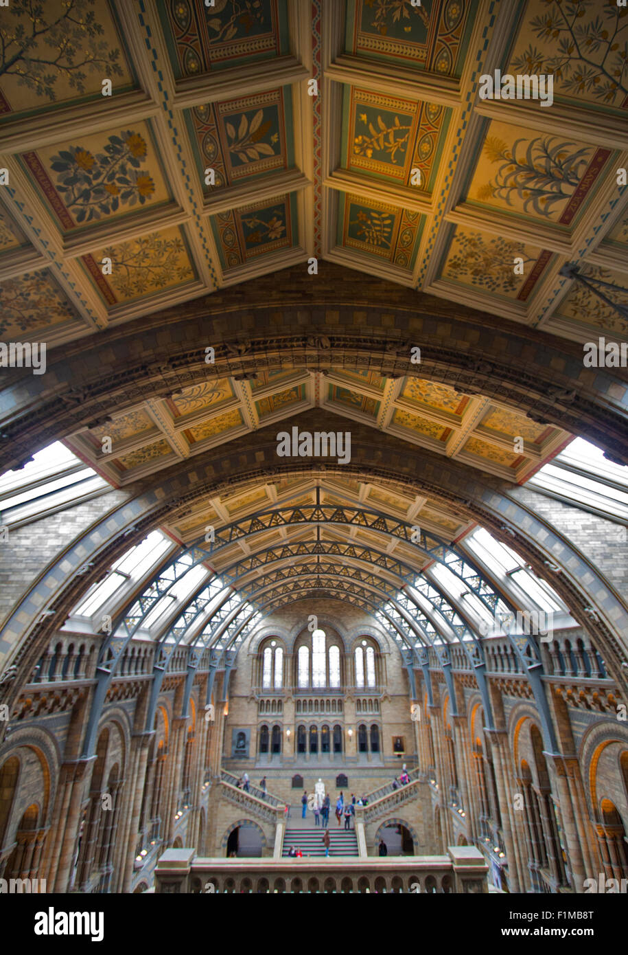 Main Hall of the Natural History Museum in Central London Stock Photo ...