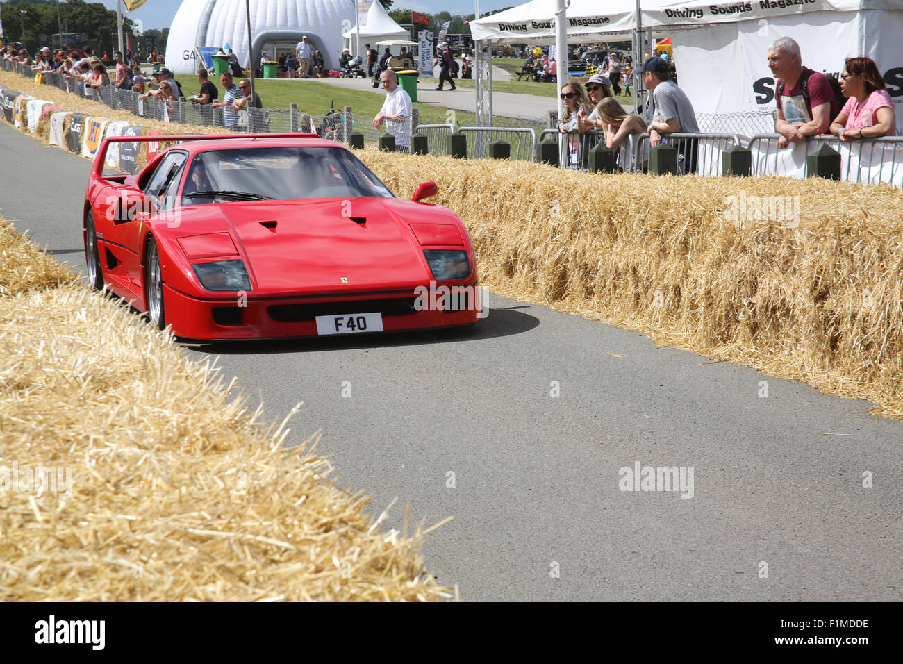 Ferrari F40 Car Fest North 2015 Stock Photo - Alamy