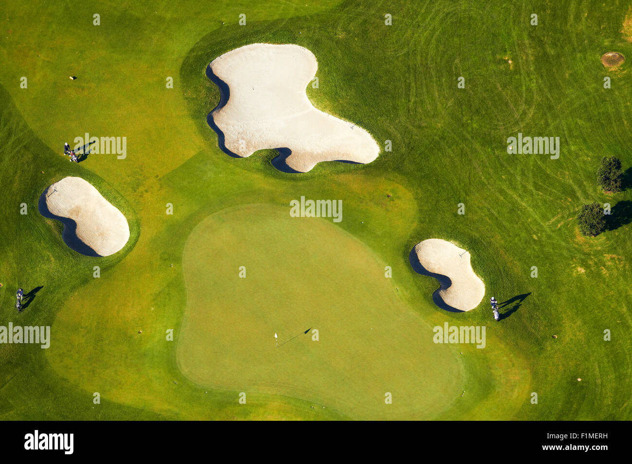 Remuera Golf Course, Auckland, North Island, New Zealand - aerial Stock ...