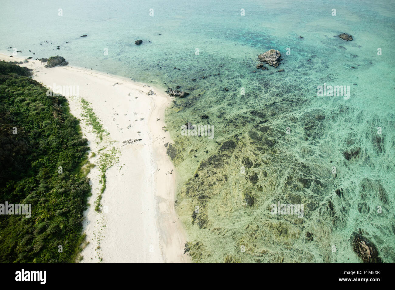 Amami japan hi-res stock photography and images - Alamy