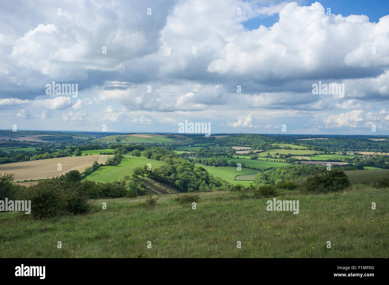 View from Butser Hill in the South Downs National Park looking North ...