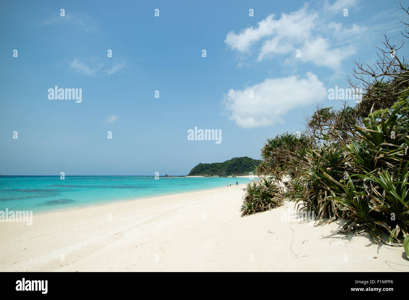 Beautiful tropical beach paradise of Amami Oshima in Southern Japan ...