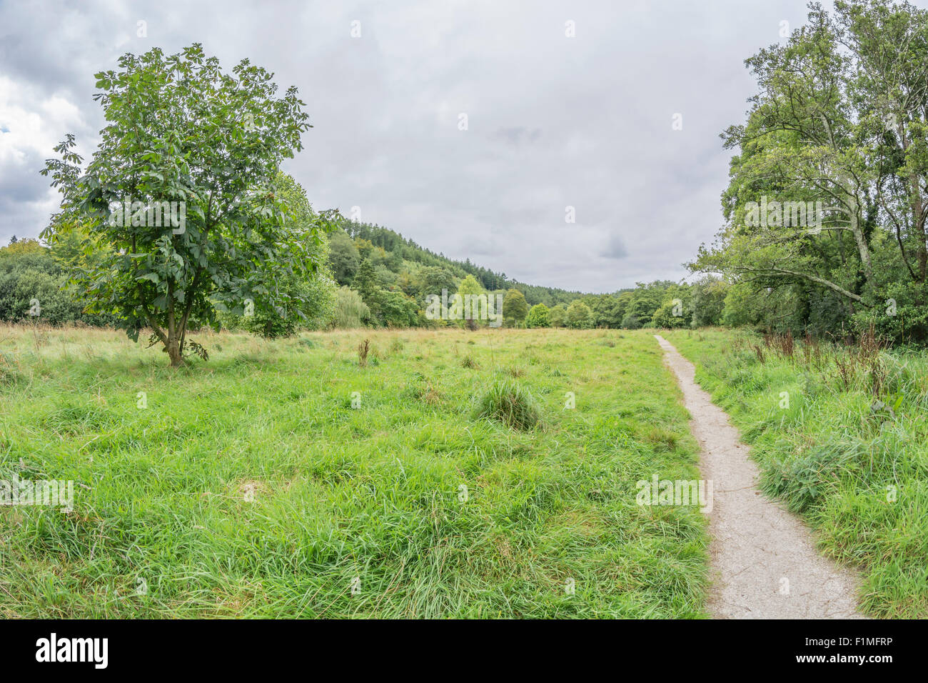 Fisheye landscape - municipal park area Lostwithiel. Stay on the right ...