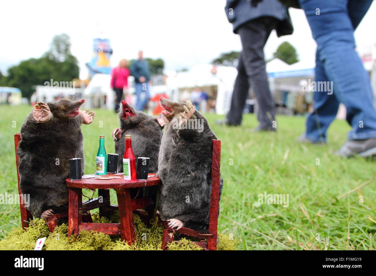Chatsworth House, Derbyshire, UK. 04th Sep, 2015. The skills of ...