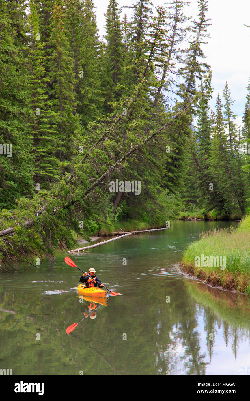 Canada, Alberta, Banff National Park, Echo Creek, kayak Stock Photo - Alamy