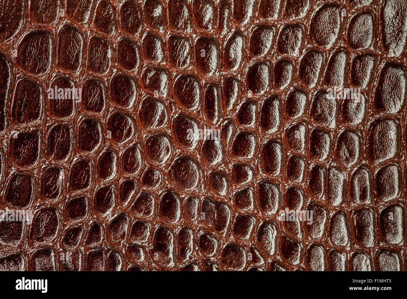 Background snake skin Stock Photo - Alamy