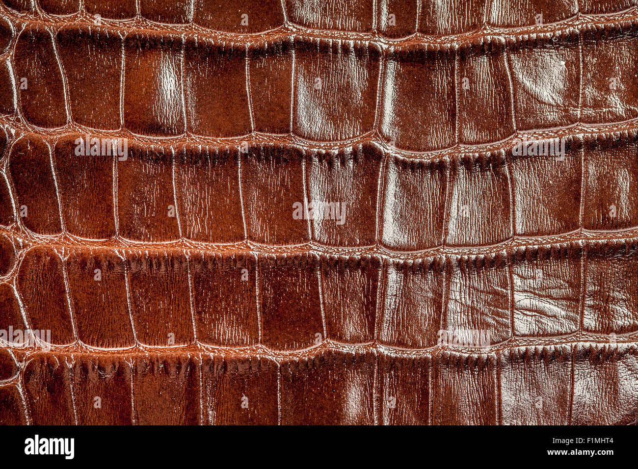 Black crocodile skin artificial hi-res stock photography and images - Alamy