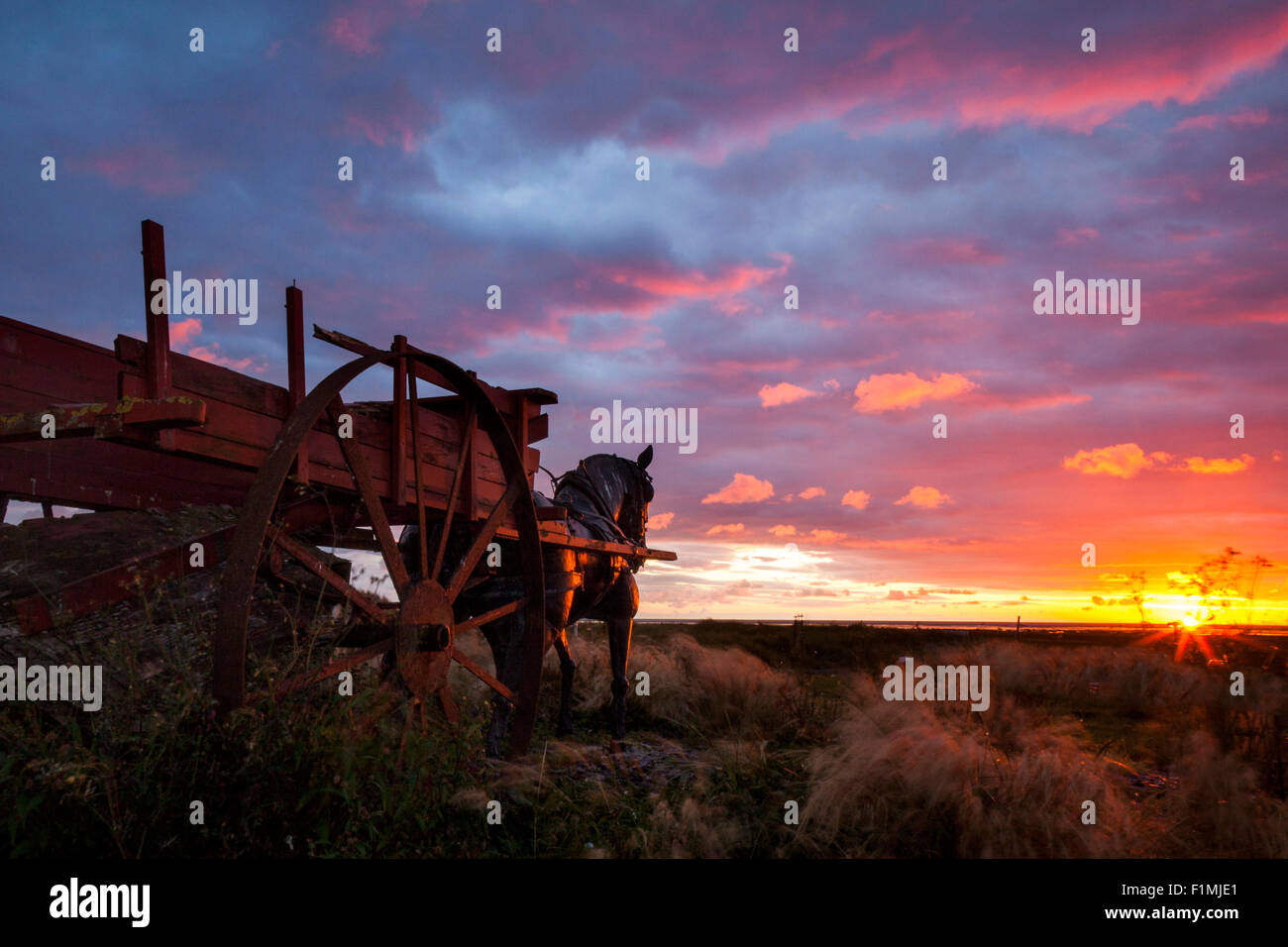 Irish horse carts hi-res stock photography and images - Alamy