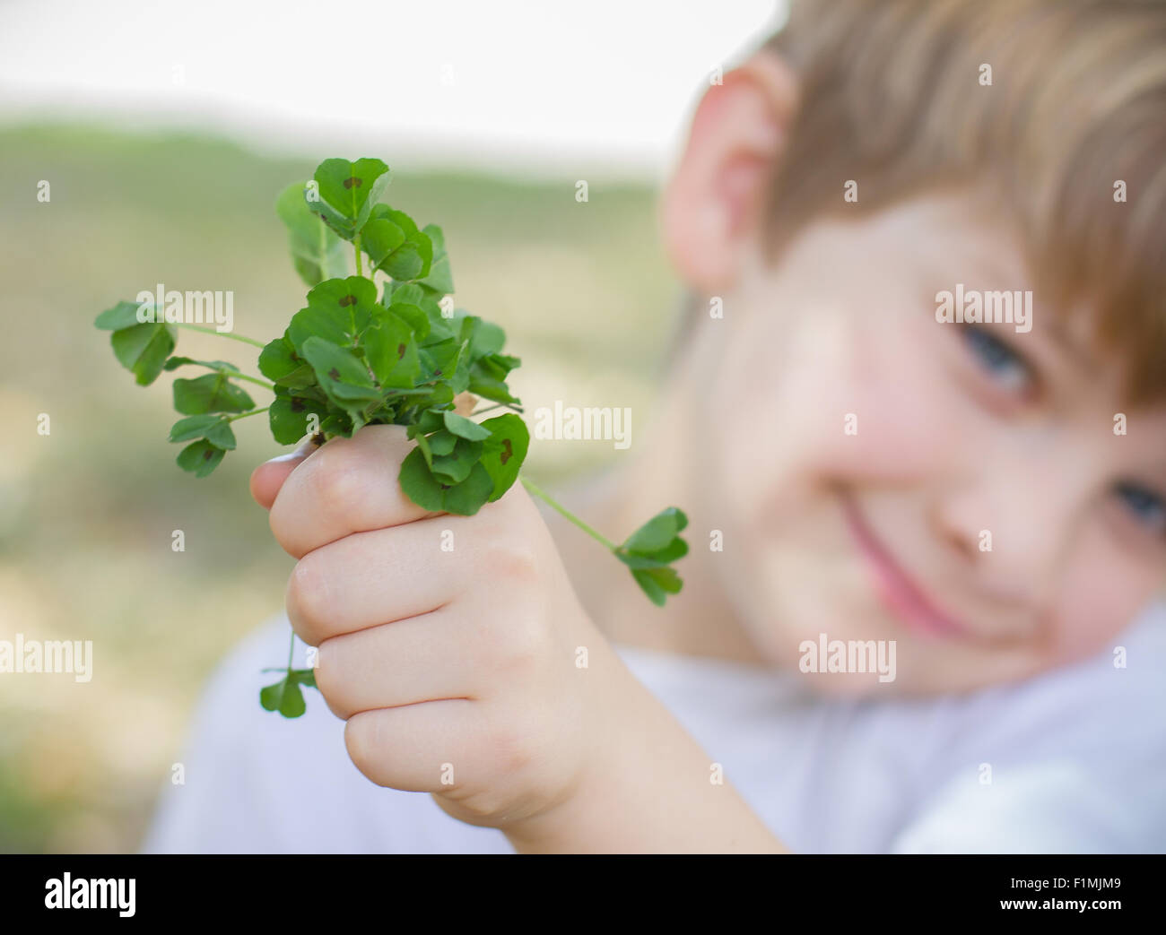 Welcome spring hi-res stock photography and images - Alamy