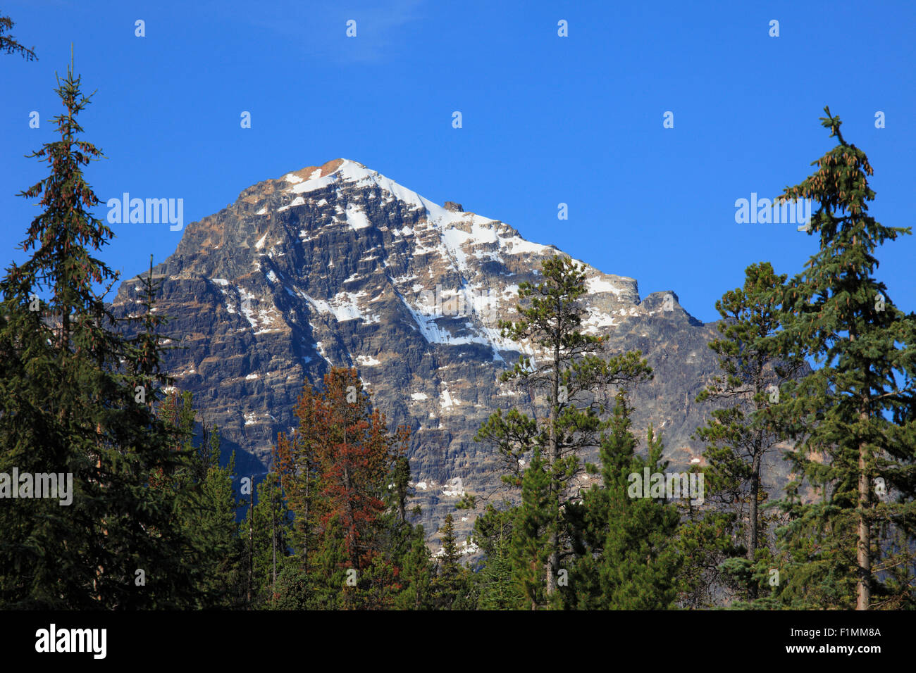 Canada, Alberta, Jasper National Park, Throne Mountain Stock Photo - Alamy
