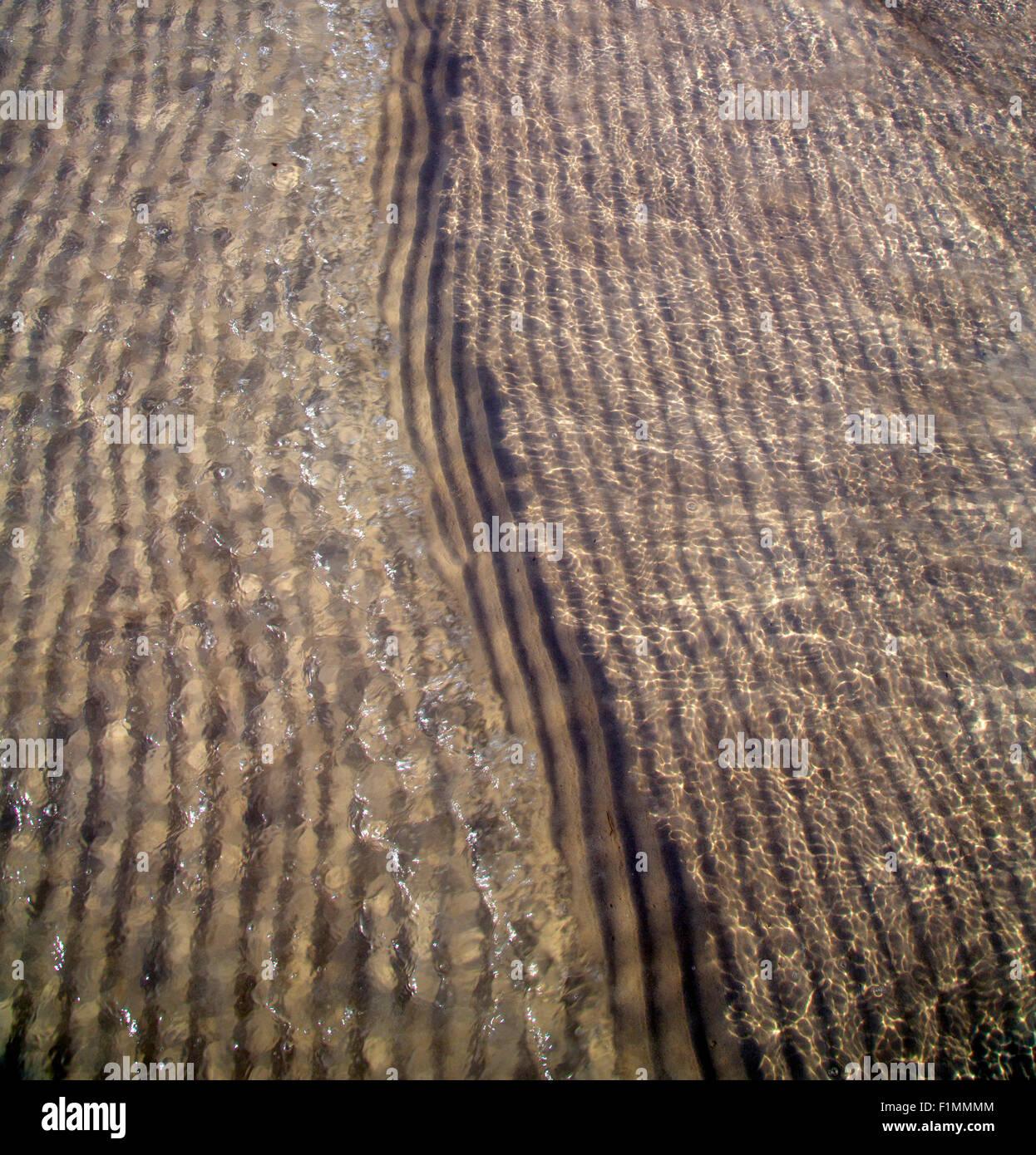 sand and the beach abstract thailand kho tao bay of a wet in south ...