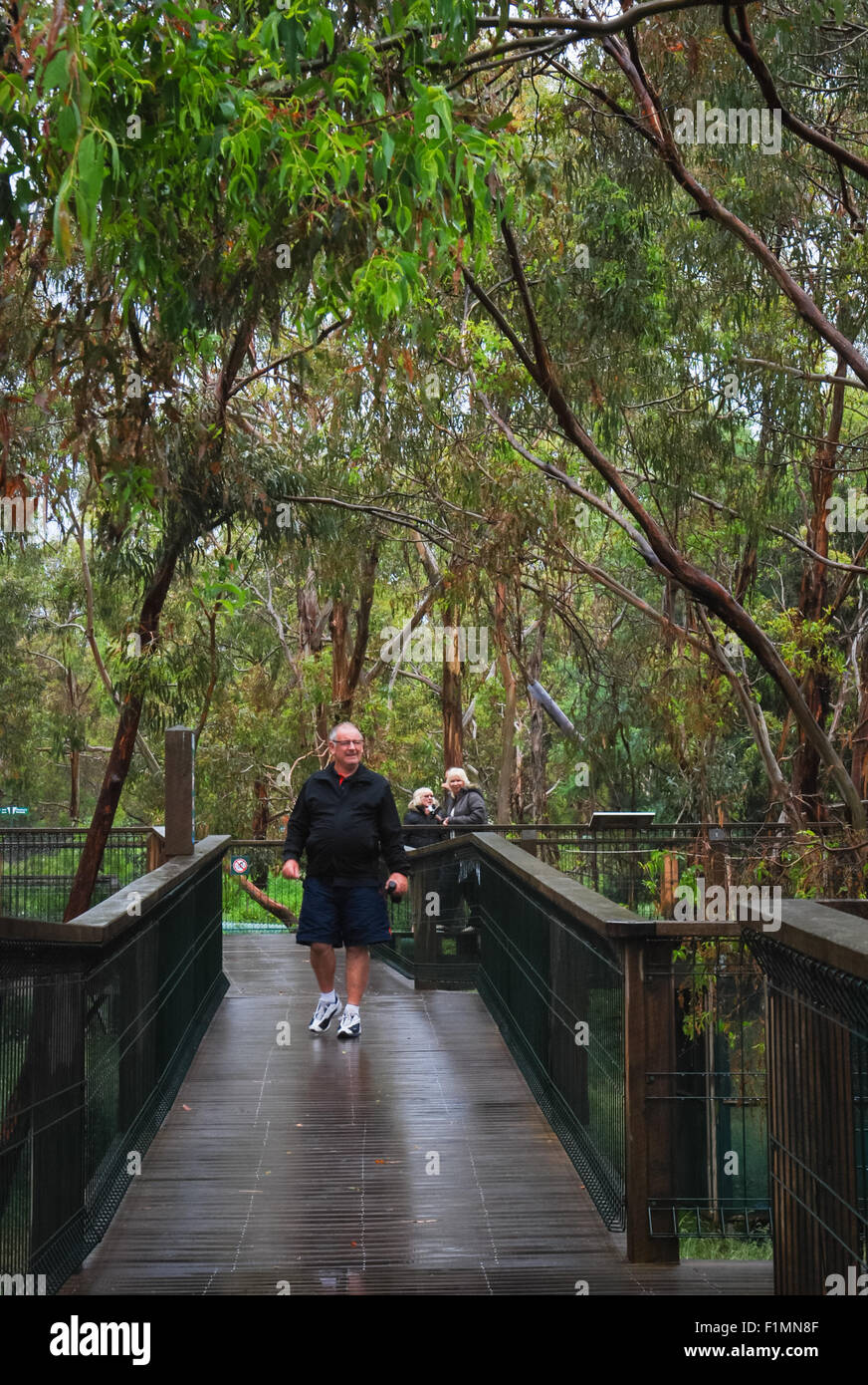 Australian Footbridge High Resolution Stock Photography and Images - Alamy