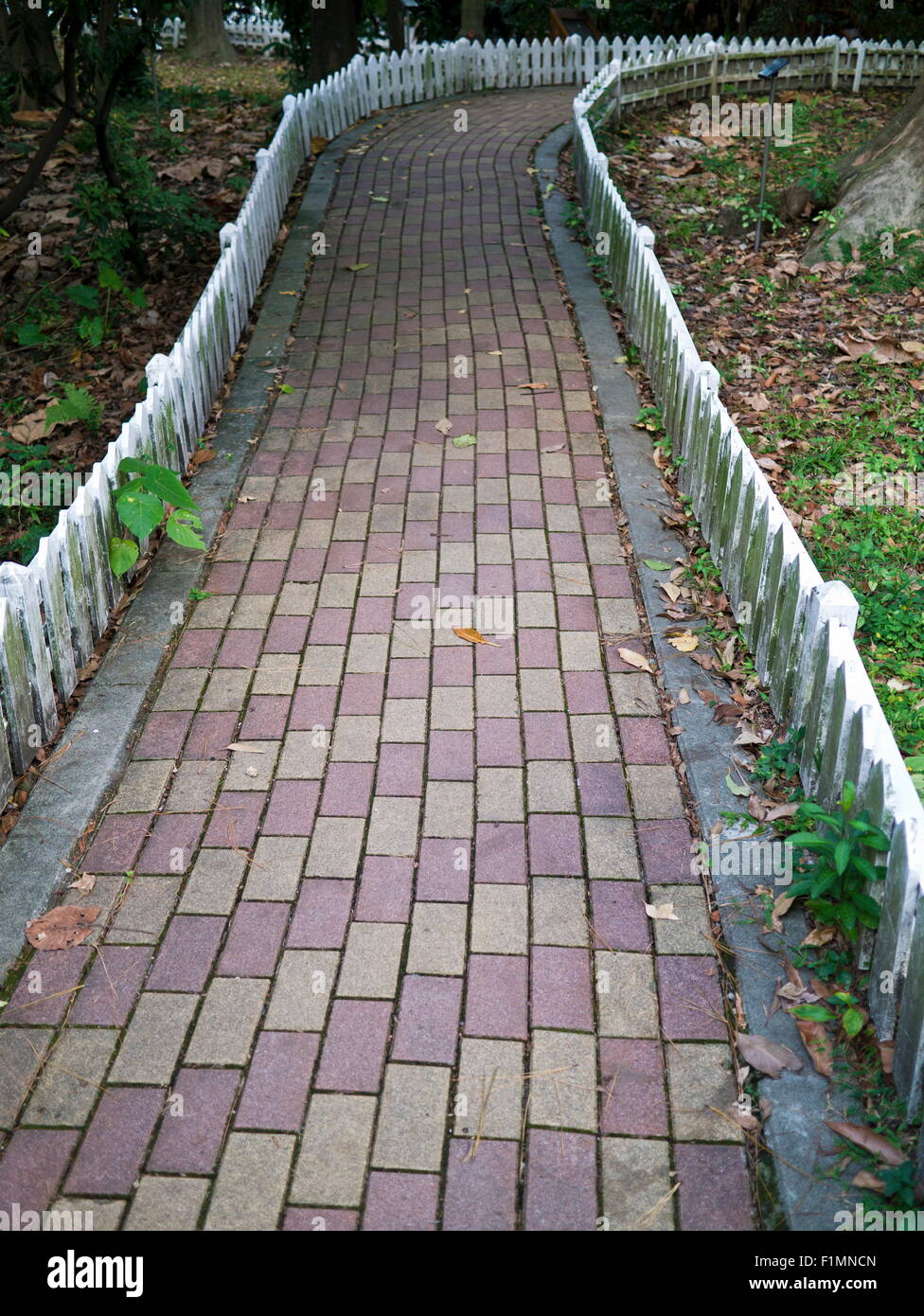 Walk tile path in park hi-res stock photography and images - Alamy