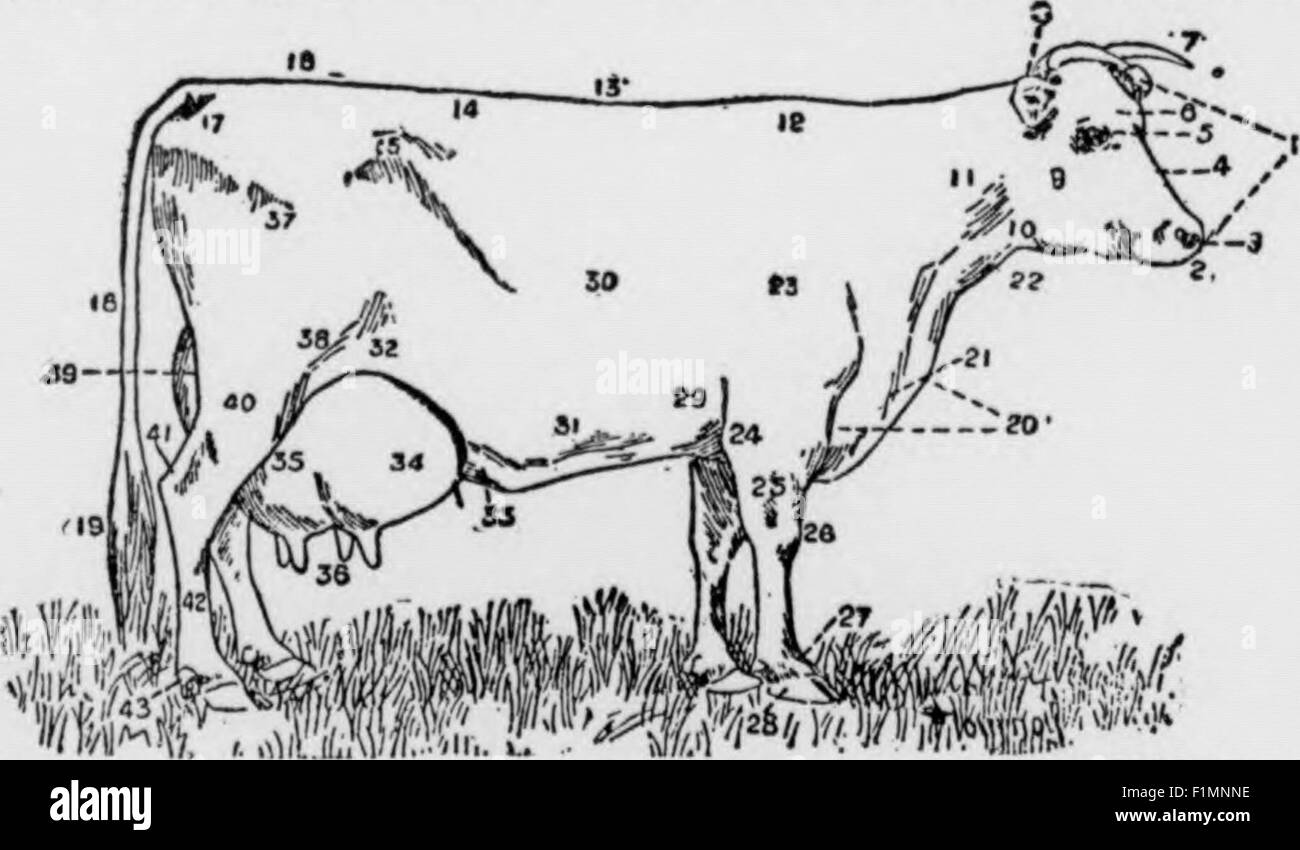 Cattle fruit Black and White Stock Photos & Images - Alamy