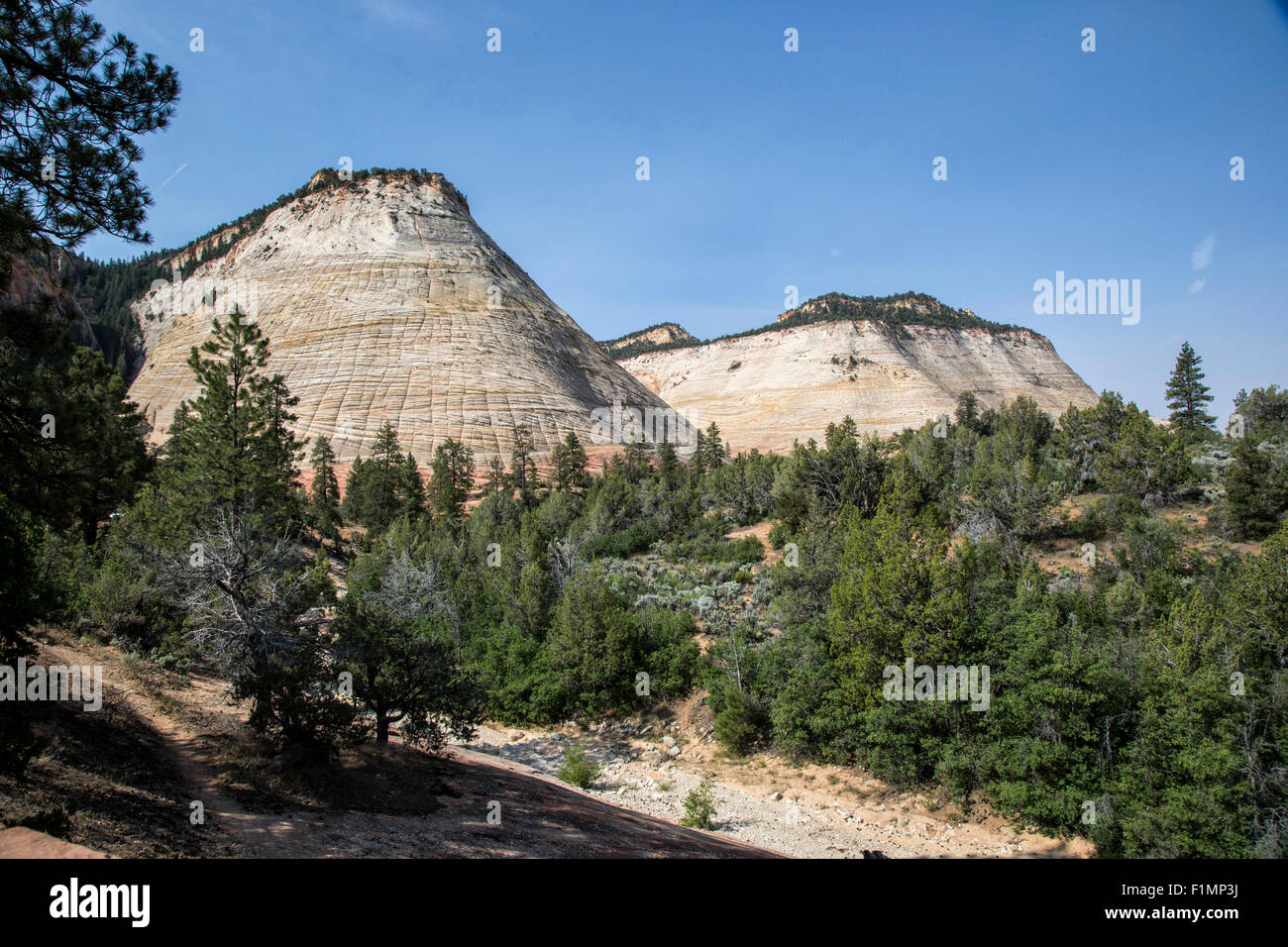 Utah road hi-res stock photography and images - Alamy