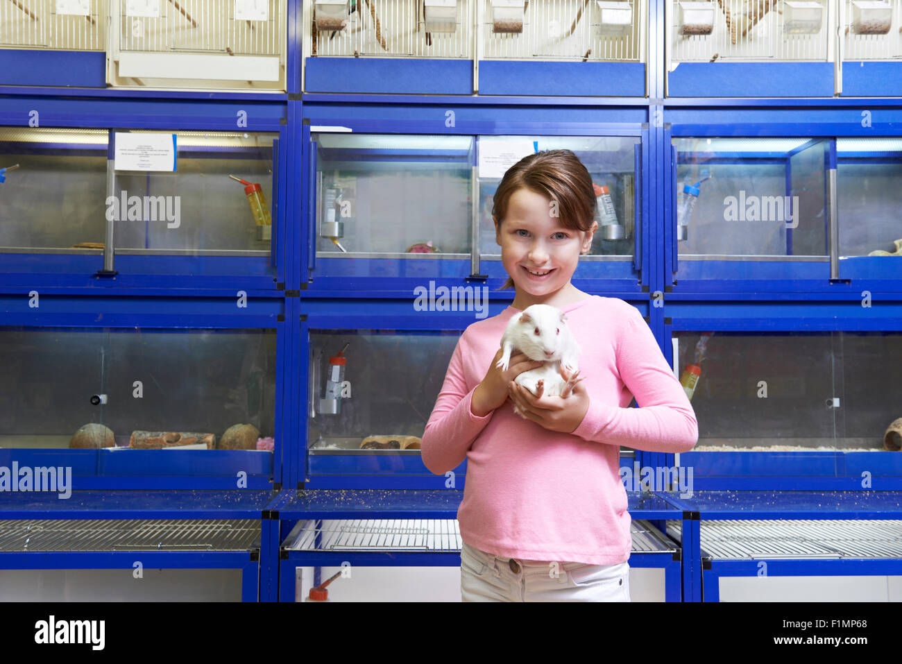 Girl holding guinea pig hi-res stock photography and images - Alamy