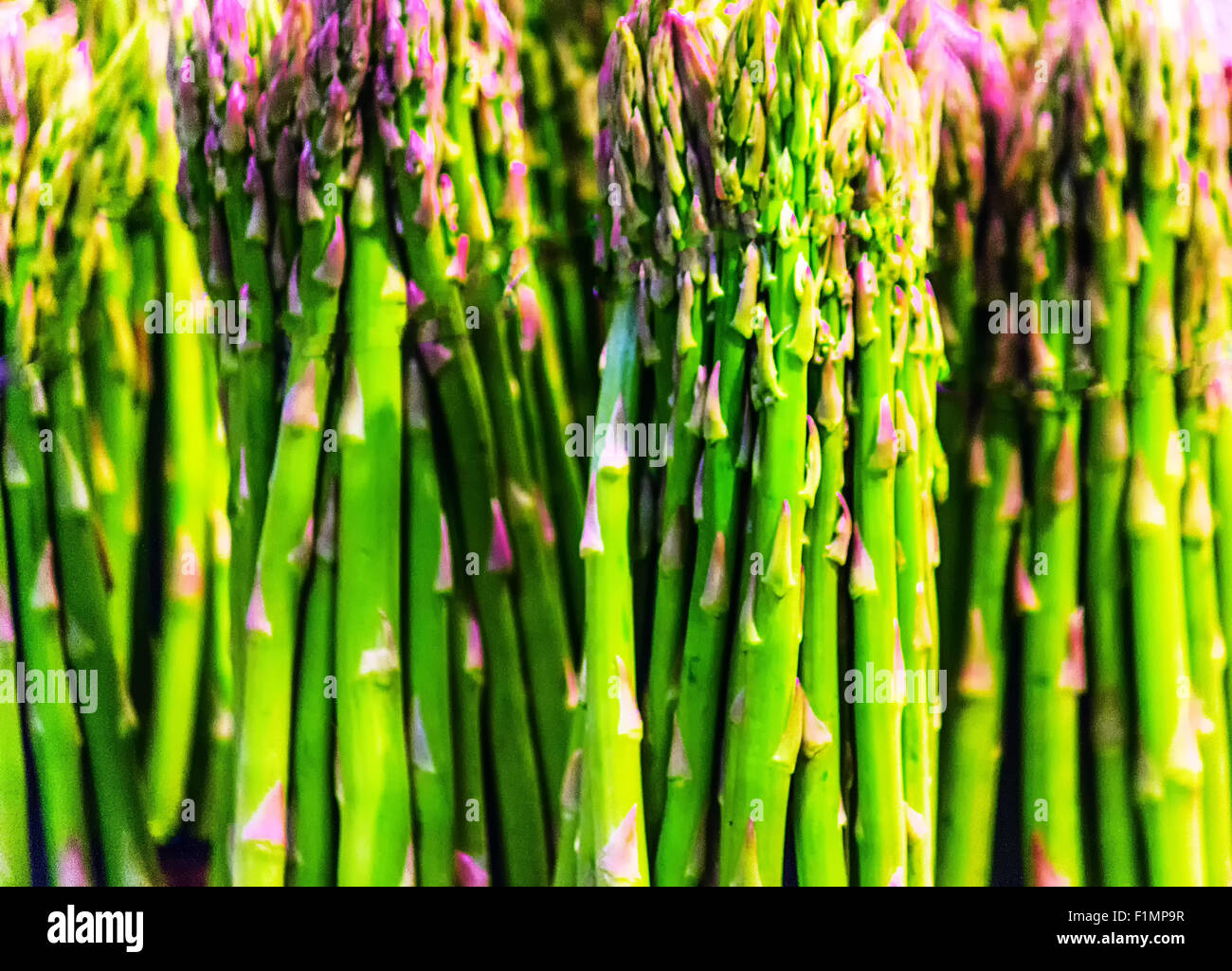 Asparagus tip hi-res stock photography and images - Alamy